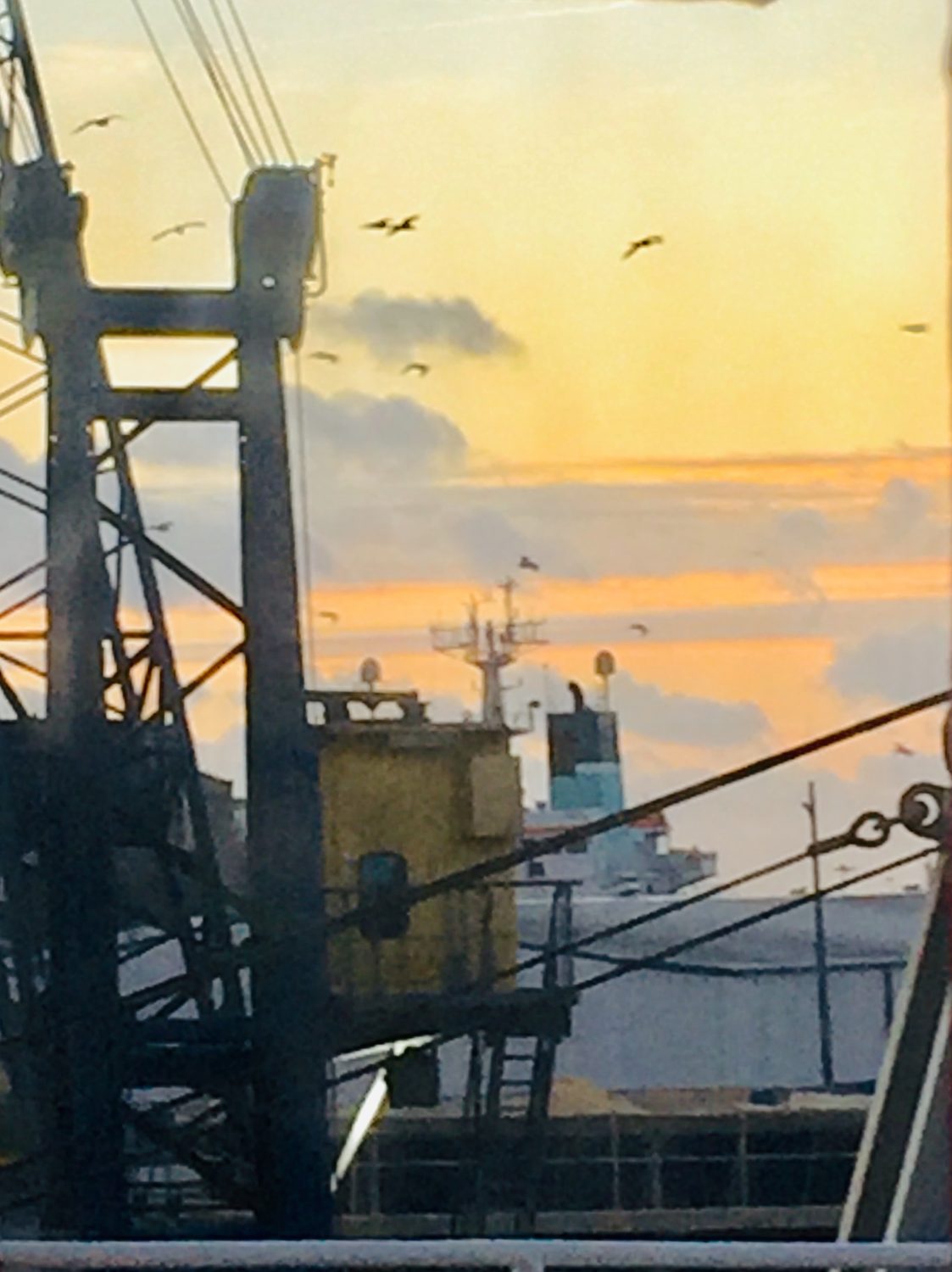 Bulker NEA TYHI receives first 2022 INTERCARGO ship certificate ...