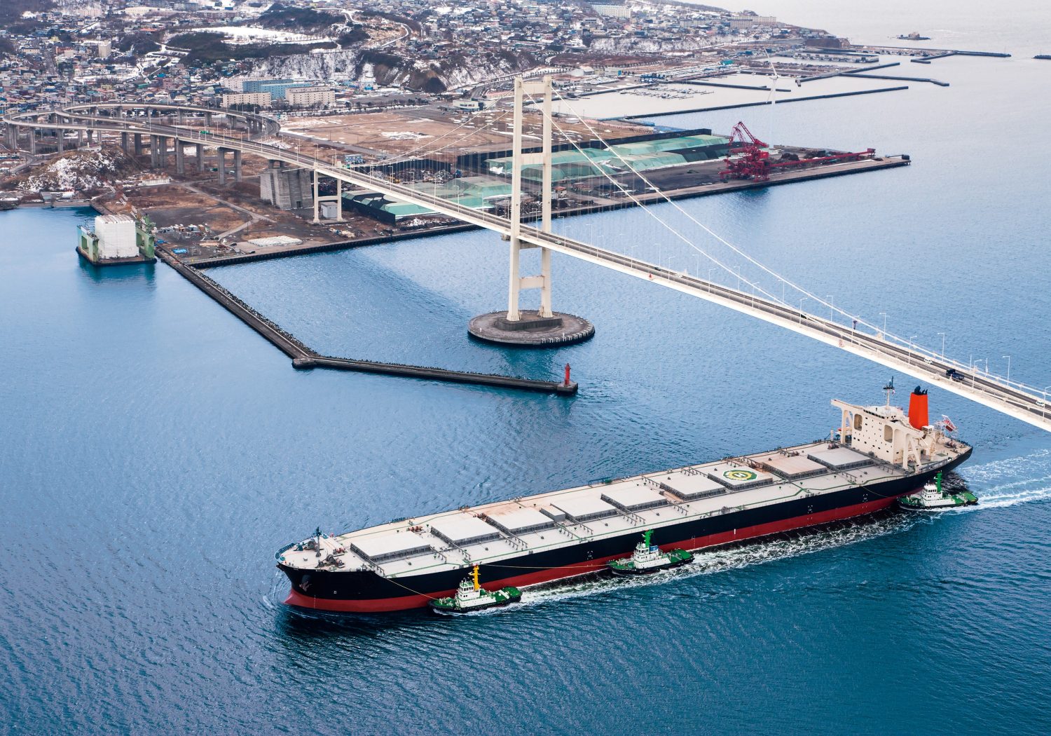 INTERCARGO welcomes New Members in H1-2022 - Intercargo