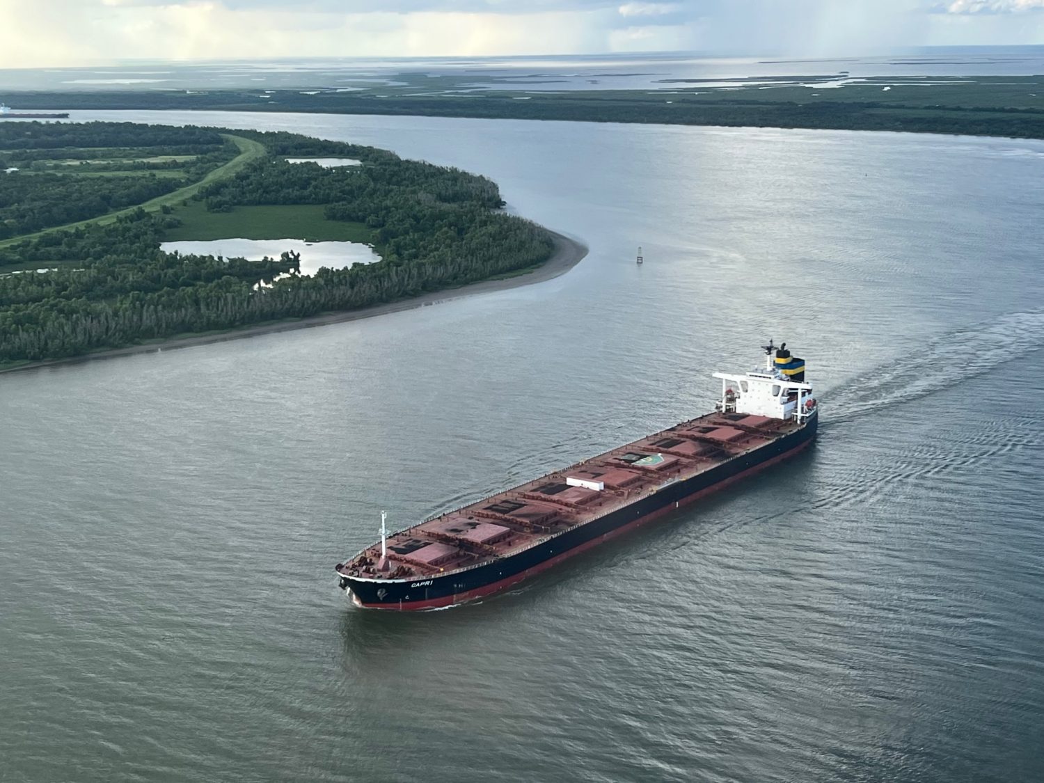 INTERCARGO welcomes New Members in 2024 - Intercargo