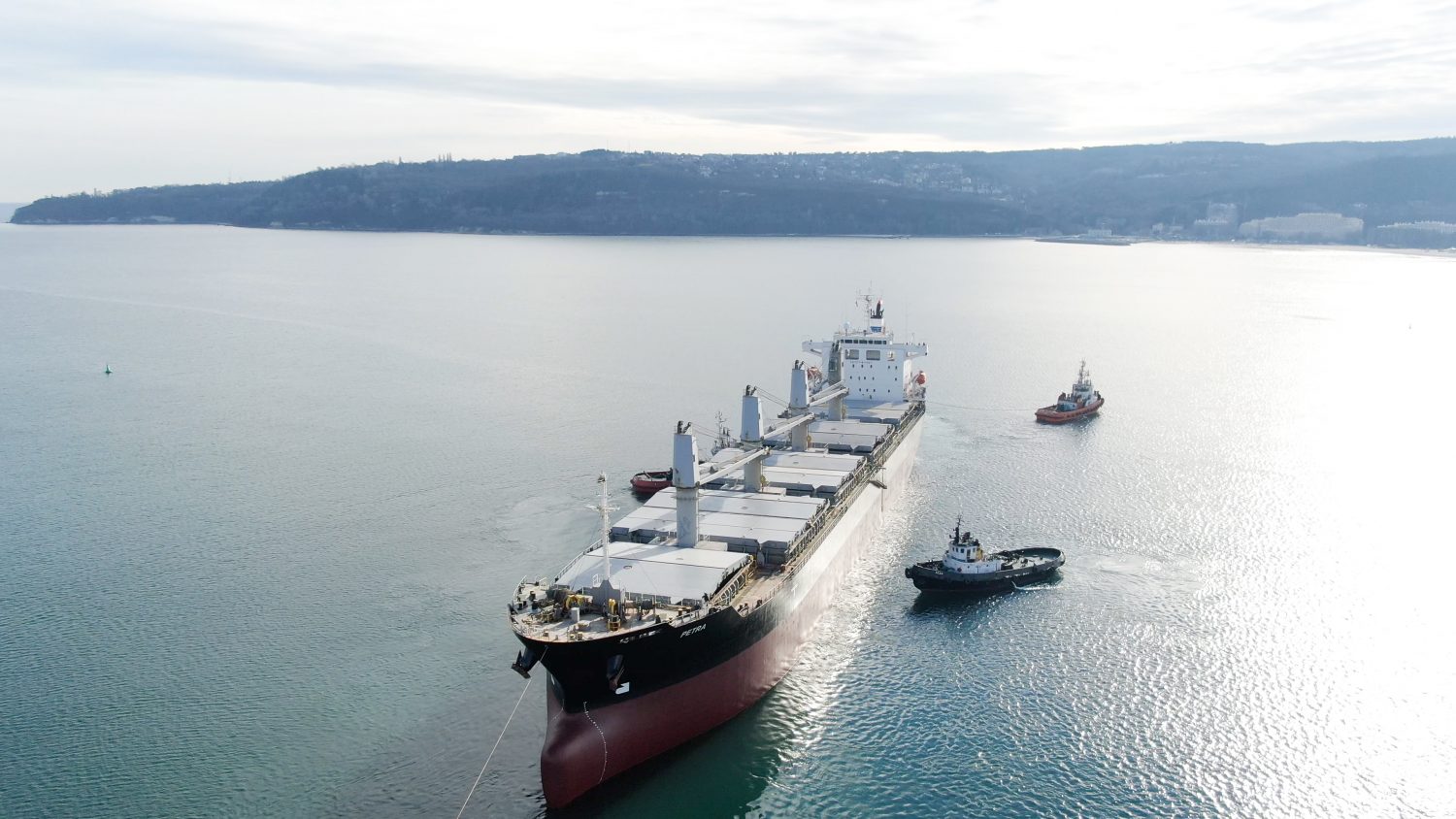 INTERCARGO welcomes New Members in 2025 - Intercargo